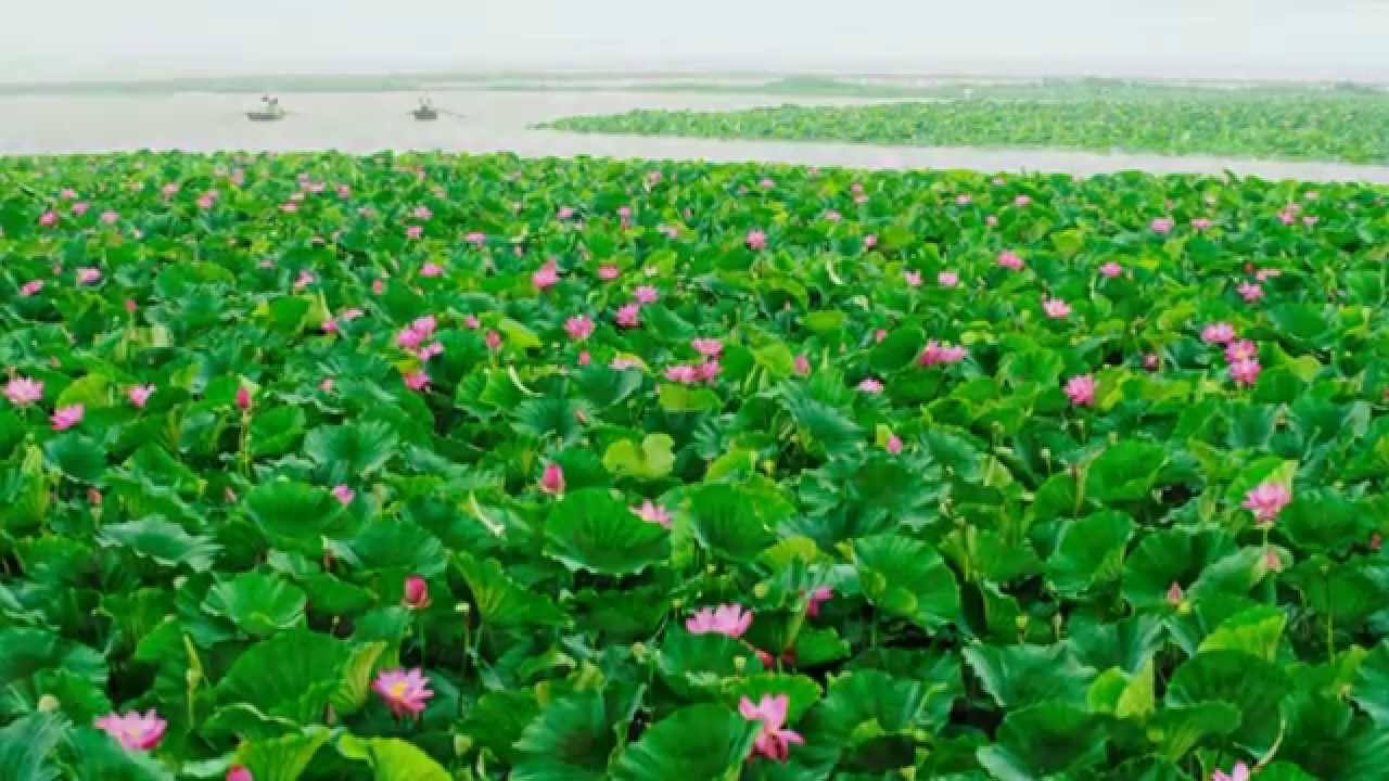 Chinese Music - 03 沂蒙山小调 Song of Yimeng Mountain - YouTube