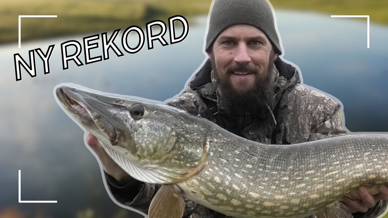 NY REKORD GEDDE!!!!! KÆMPE FORLØSNING.....//NATURNØRD 651 - YouTube