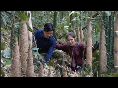 An exciting and surprising adventure for Thu and Tu Phan in the bamboo forest. 