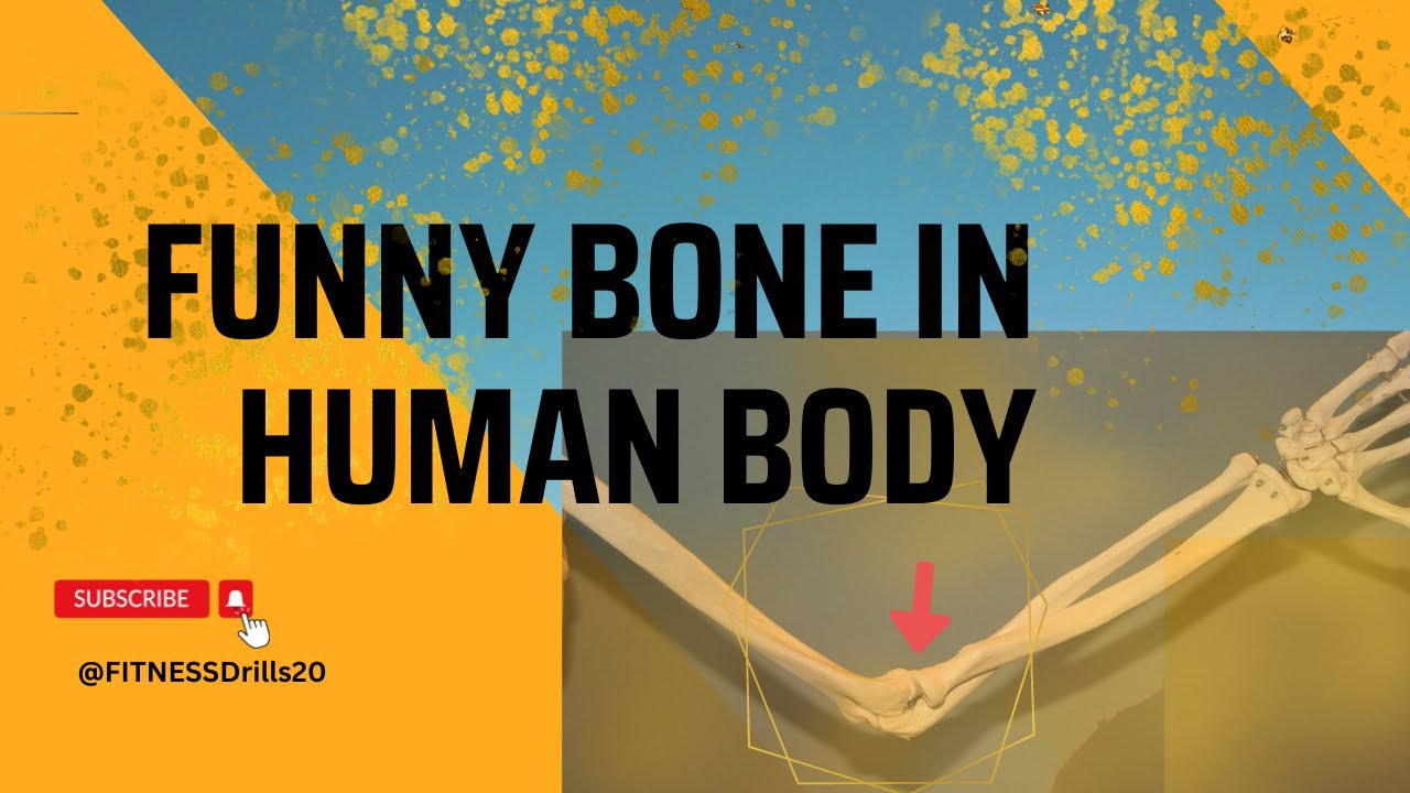 Is it real? Does FUNNY BONE exist in human body? @FITNESSDrills20 - YouTube
