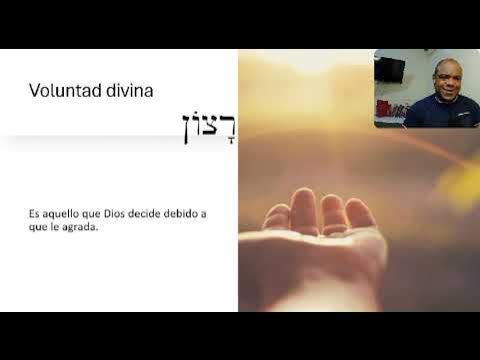 Descubre la Voluntad de Dios en tu Vida - YouTube