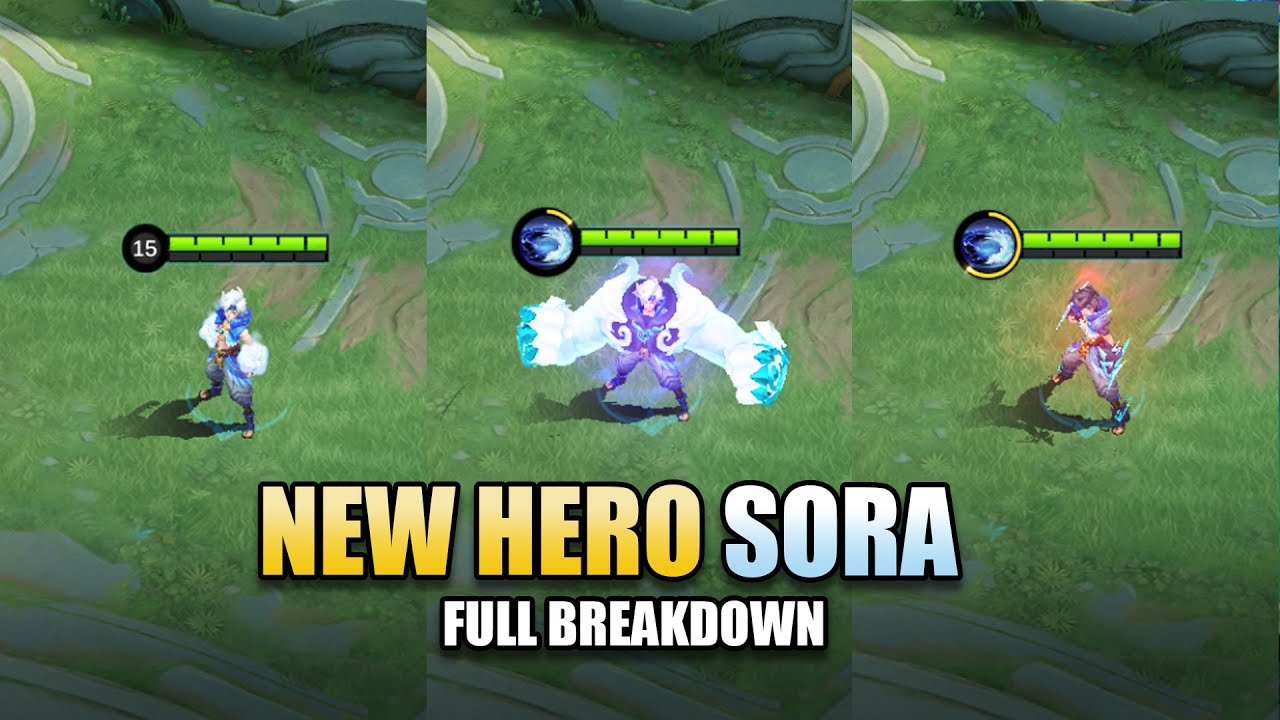 Full Sora Hero Breakdown: Thunder & Torrent Form Explained - YouTube