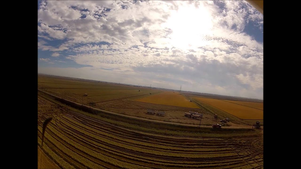 Sacramento Valley Rice rice harvest 2012.wmv - YouTube