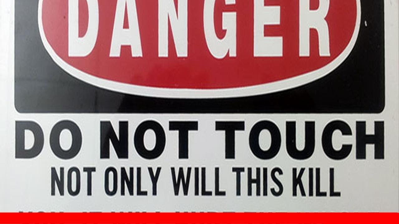 75 Signs That Humanity Is Devolving 😂 - YouTube