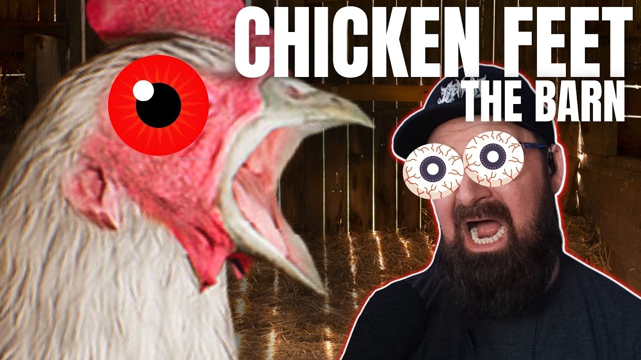 This CHICKEN knows how to TORMENT | Chicken Feet Game | The Barn | 1.1 ...