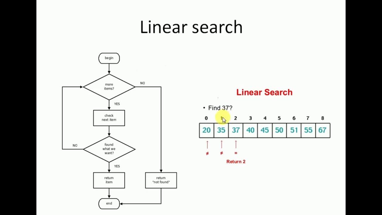 Linear Search Data Structures - YouTube