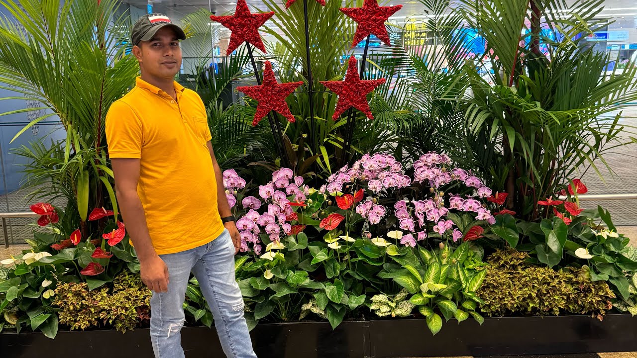 SG PROUD TECH is live Singapore Changi Airport live - YouTube