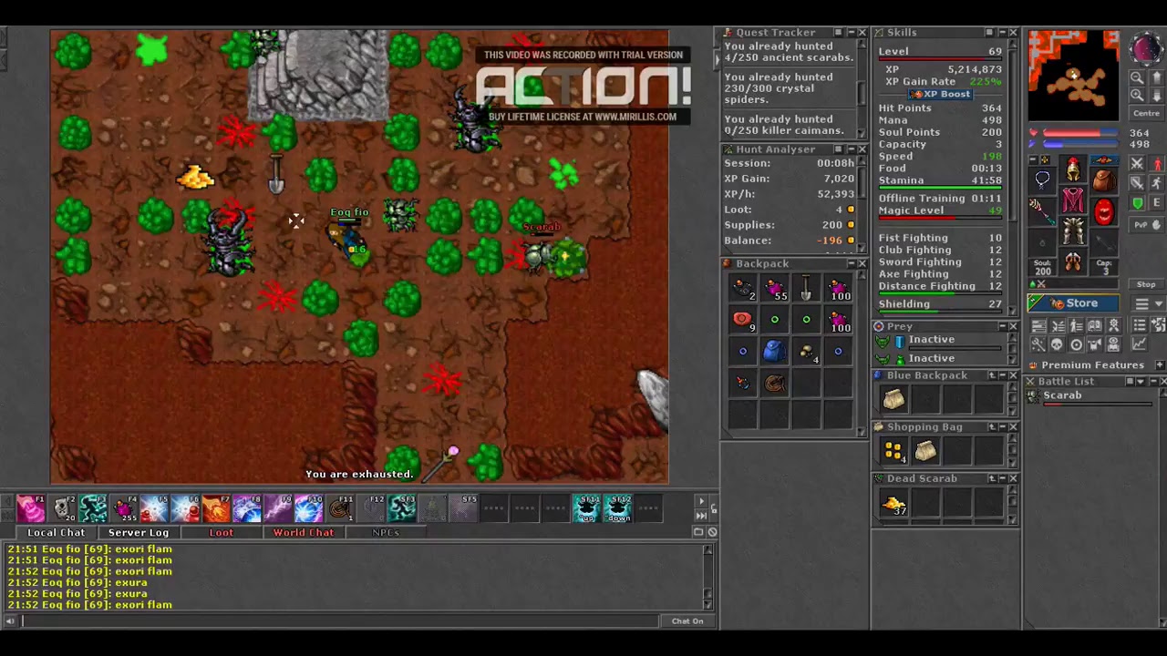 Tibia - MS 70 - Ancient Scarab - YouTube