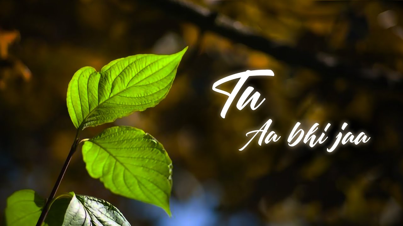 TU AA BHI JAA (original) || Harnoor Tuli #original#harnoortuli - YouTube