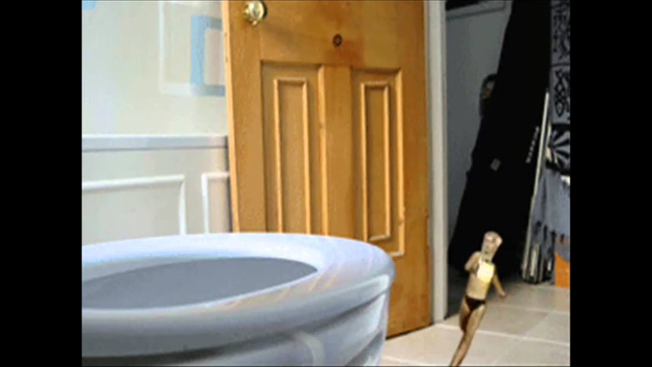 High Jump Toilets Olympics - YouTube