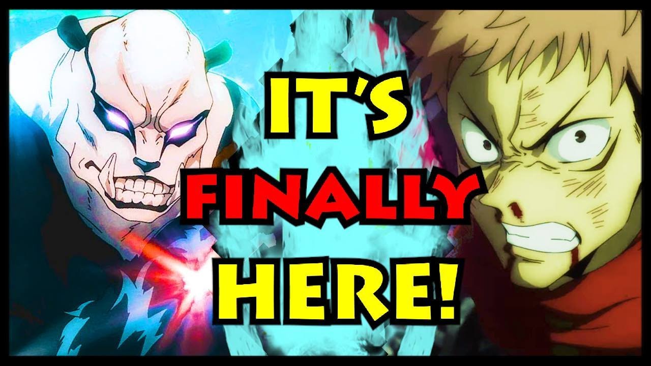 JUJUTSU KAISEN IS BACK FROM HIATUS!! Yuji vs Panda showdown in the JJK ...