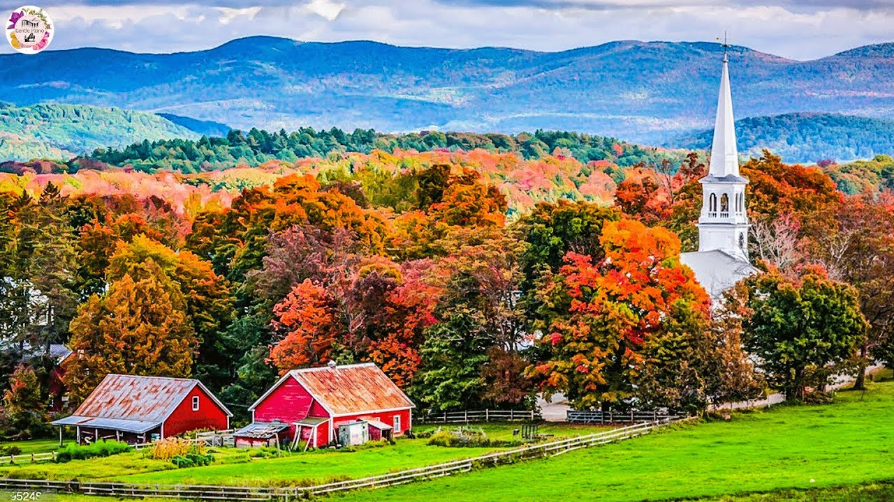 Beautiful Relaxing Music - Stop Overthinking, Stress Relief Music ...