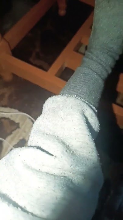 August 29, 2024 - YouTube