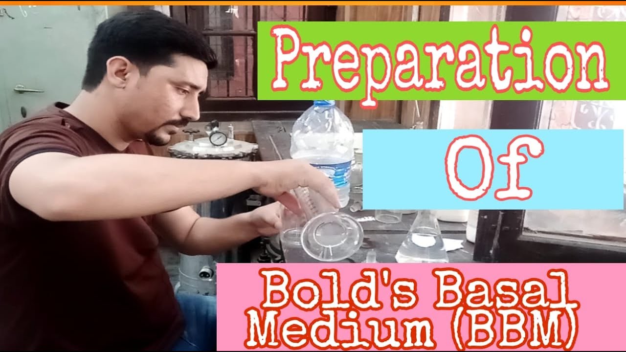 Preparation of Bold's Basal Medium (BBM) Part 1 - YouTube