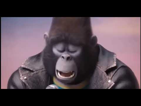 Gulmeli video