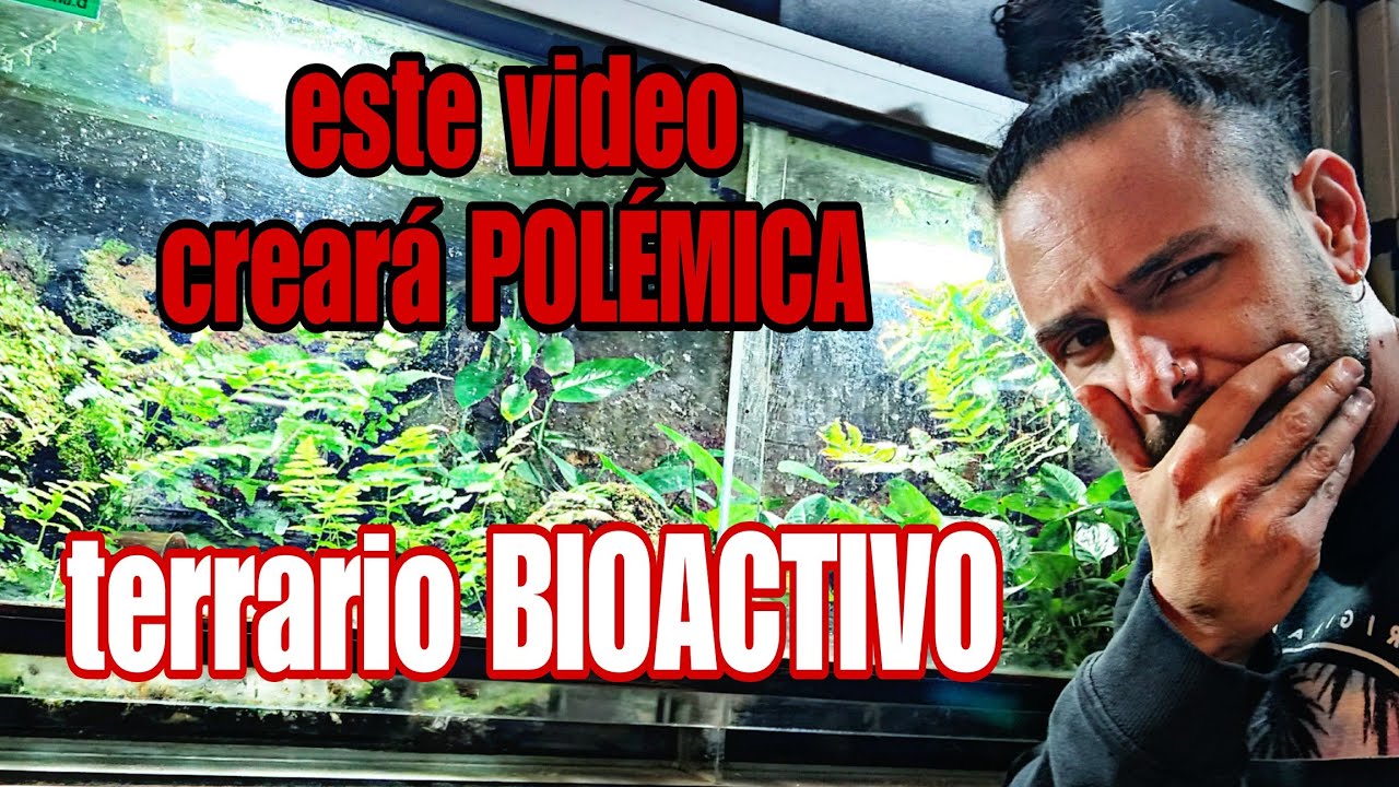 TERRARIO BIOACTIVO! -PROS y CONTRAS. -Microfauna para TERRARIO ...