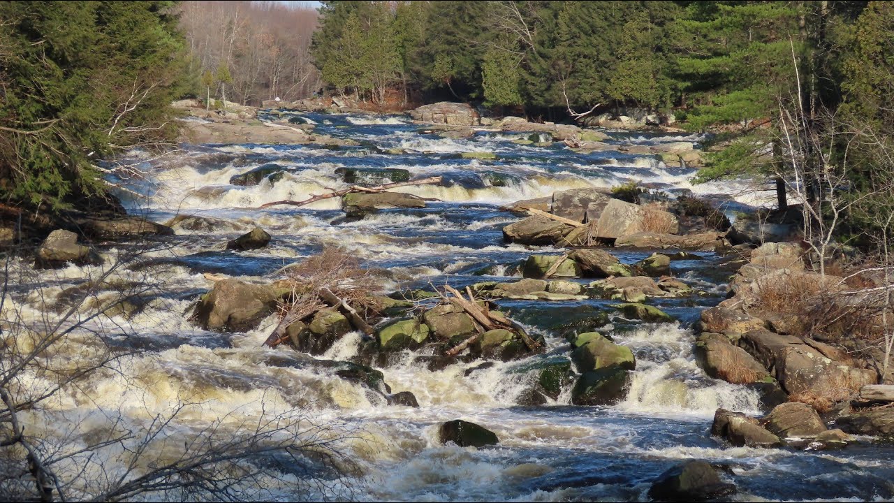 PARC DE LA RIVIÈRE BATISCAN - SENTIER LE BUIS - SECTEUR BARRAGE - YouTube