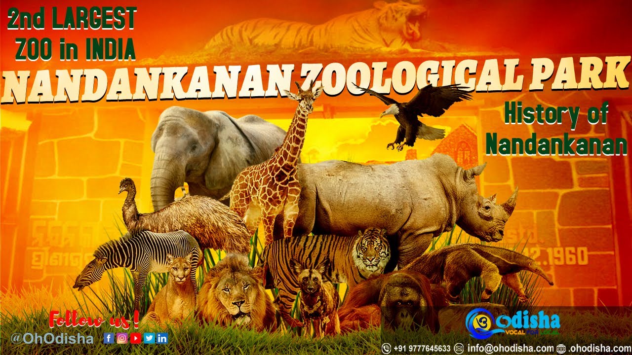 NANDANKANAN ZOO 2nd Largest ZOO in India || ନନ୍ଦନକାନନ୍ || Bhubaneswar ...