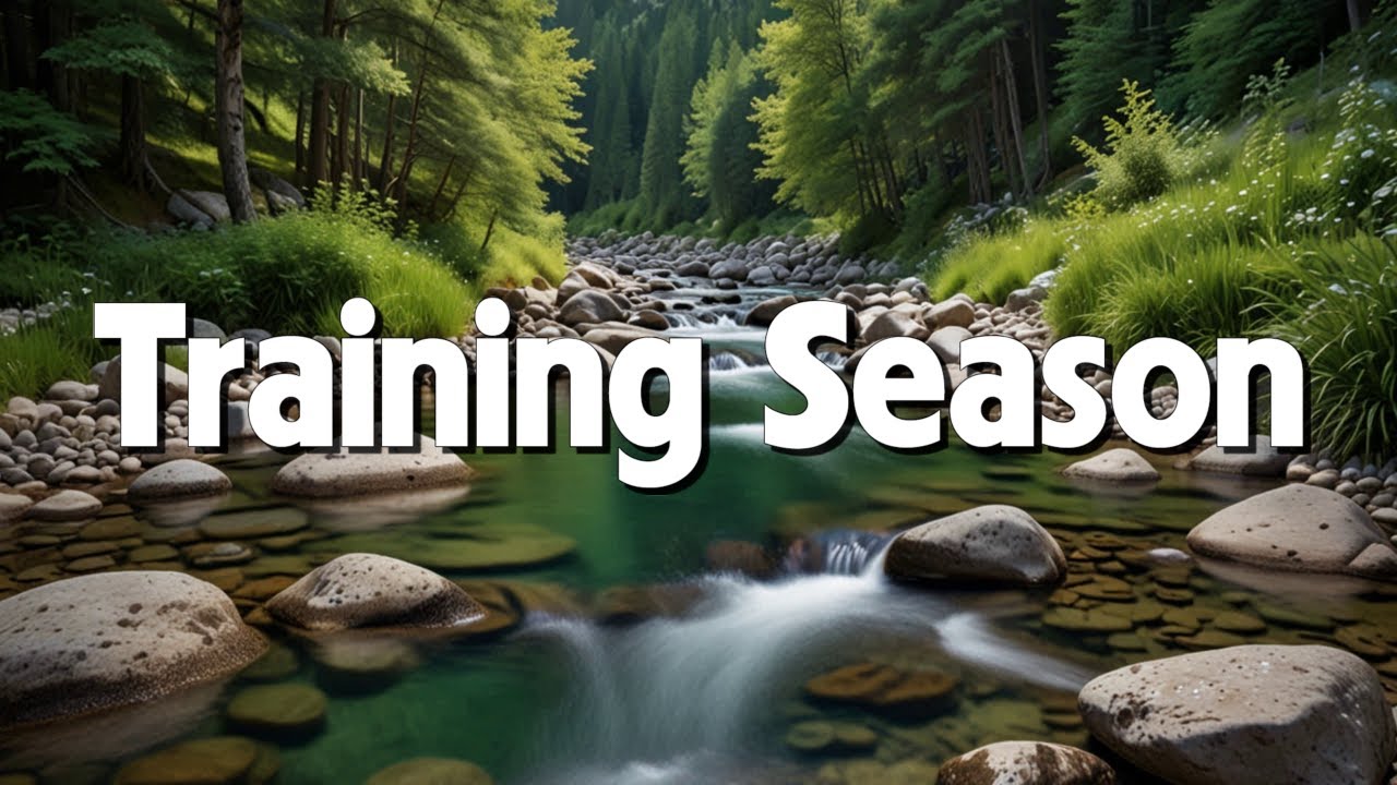 Training Season - Dua Lipa (Lyrics) - YouTube