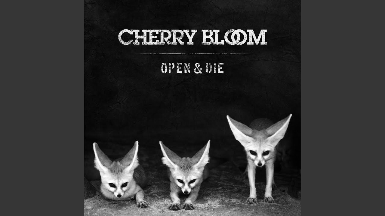 Sick Rabbit - YouTube