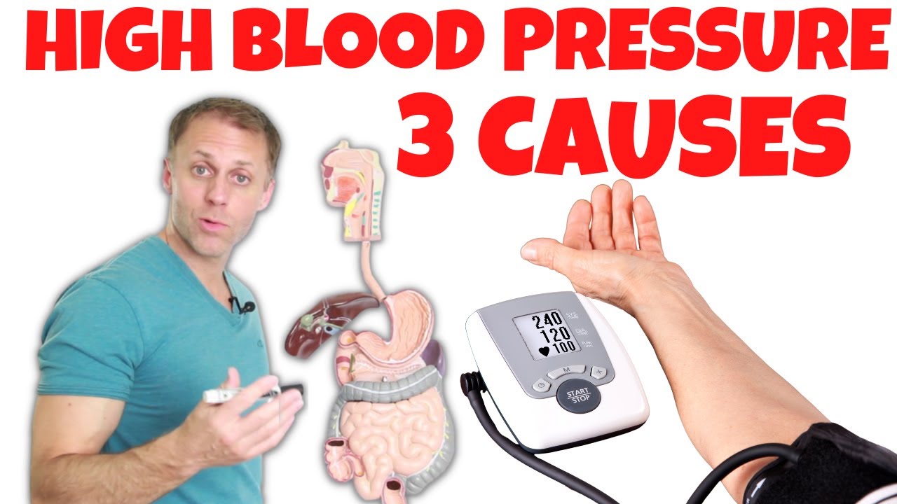 3 Underlying Causes Of High Blood Pressure YouTube