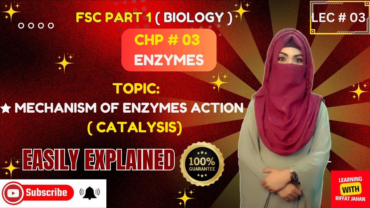 Ch#03 | Enzymes | Mechanism of Enzyme Action (Catalysis) (F.Sc 1st Year) @riffatjahan - YouTube