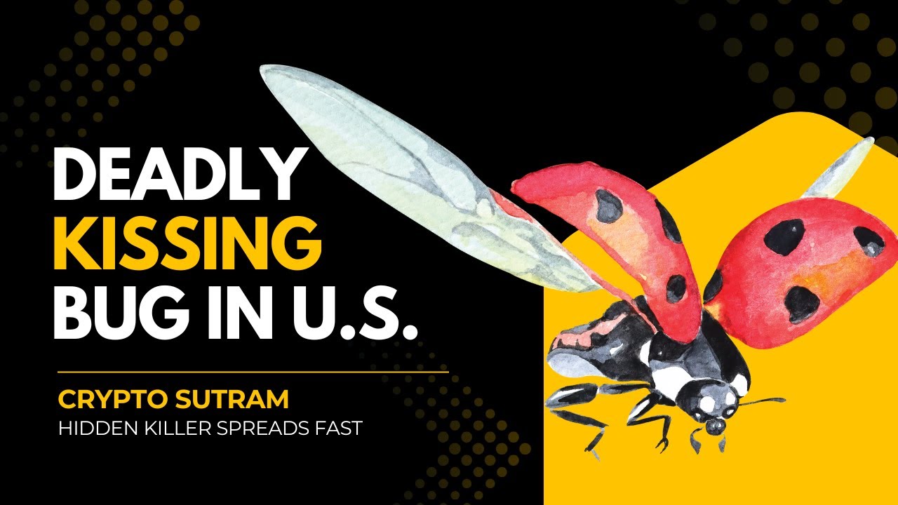 Kissing Bug Bites Face While You Sleep | CDC Sounds Alarm in U.S. - YouTube