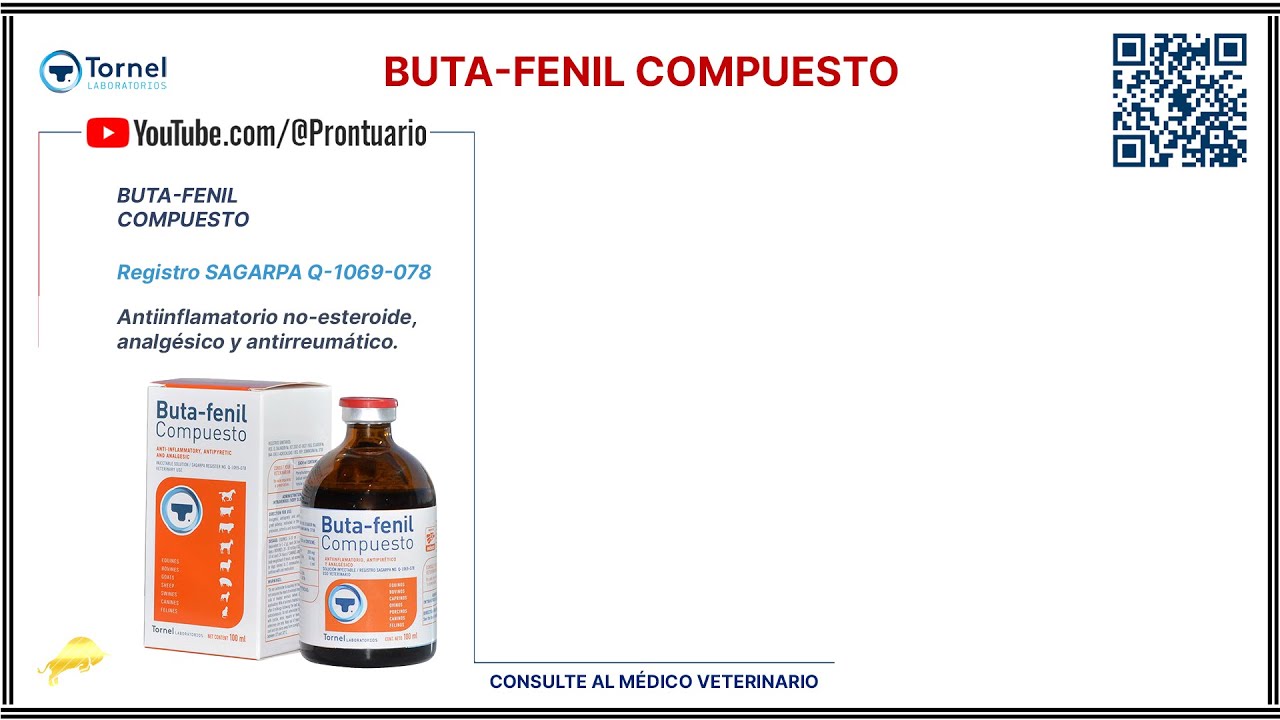 BUTA-FENIL COMPUESTO - YouTube