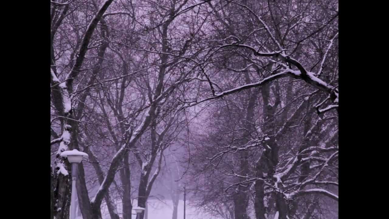 ADAM COHEN - Sweet Dominique - Music Video - YouTube