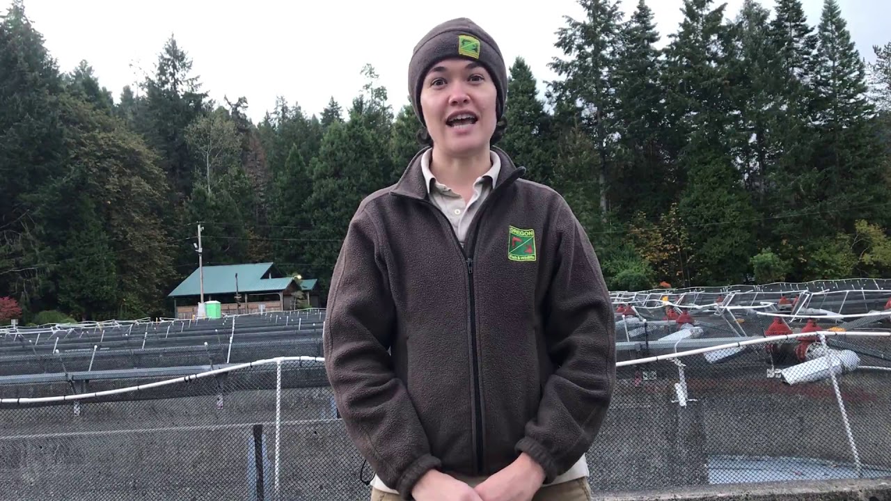 Meet Emma Garner from ODFW - YouTube