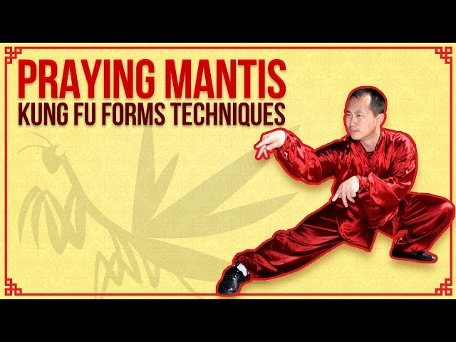 Praying Hands With Kung Fu Stance