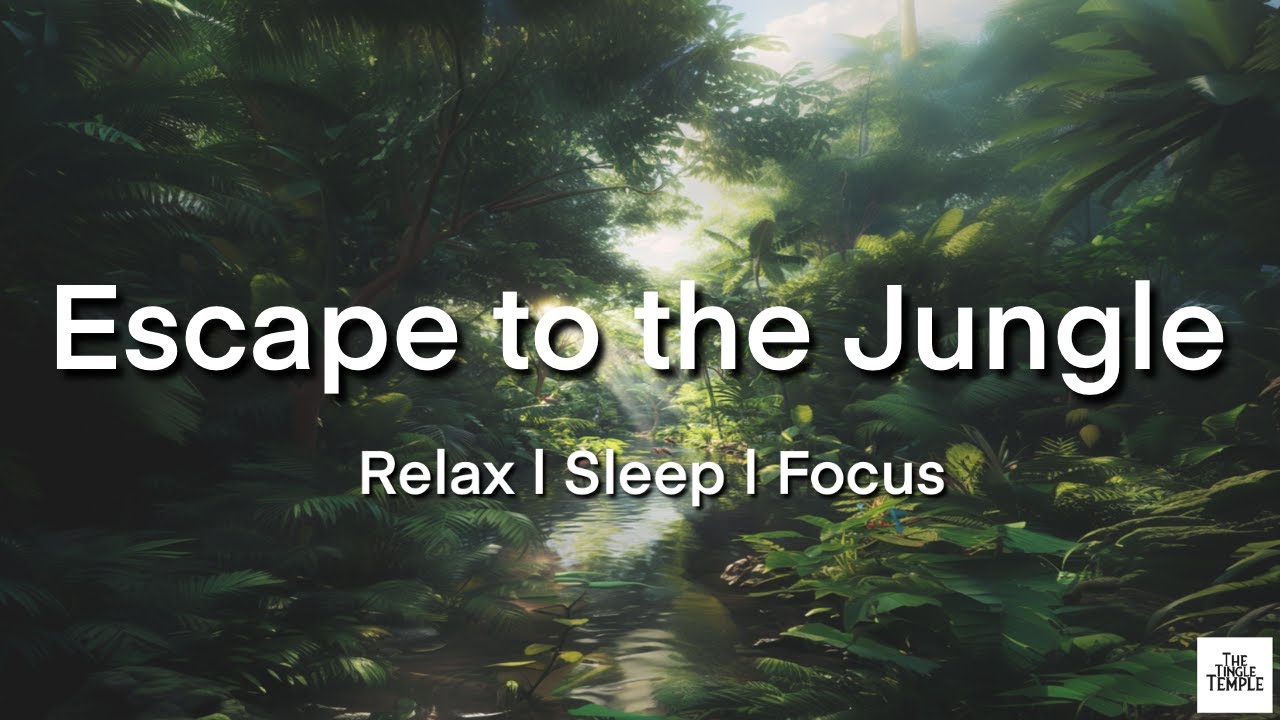Jungle Sounds for Sleep, Study & Relaxation | Tropical Rainforest ...