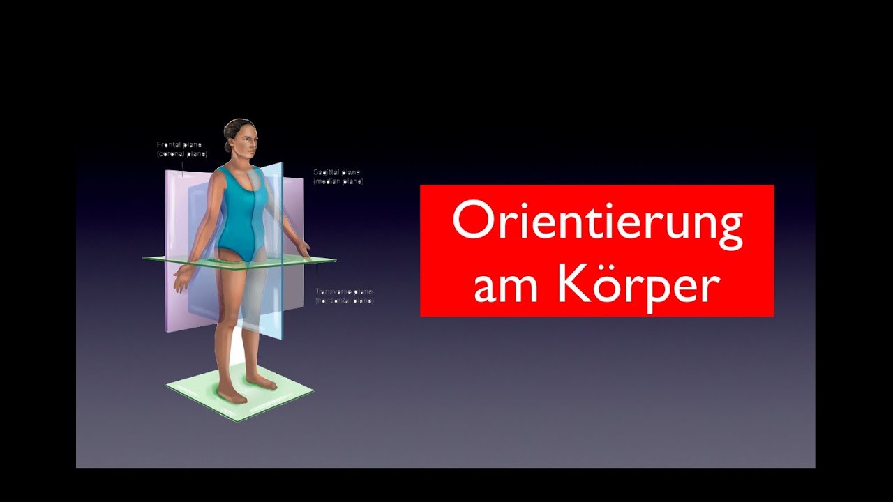 Orientierung am Körper - YouTube
