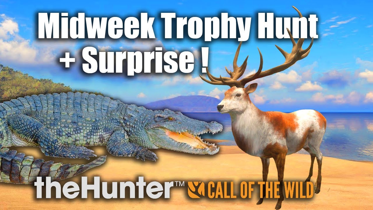 Midweek Trophy Hunt + Surprise ! - theHunter Call of the wild - YouTube