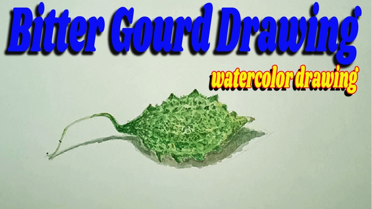 Bitter Gourd Drawing - YouTube