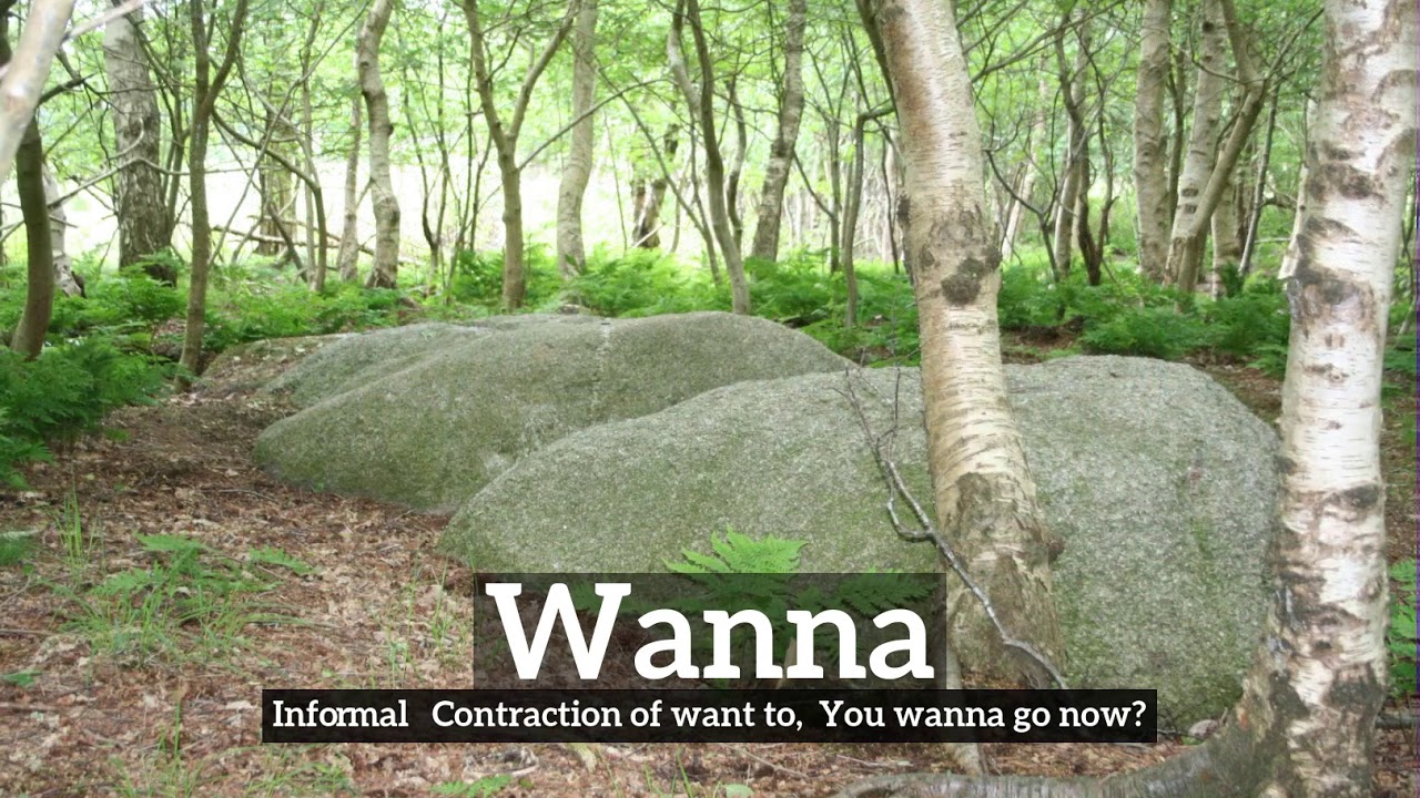 What is Wanna? | How Does Wanna Look? | How to Say Wanna in English ...