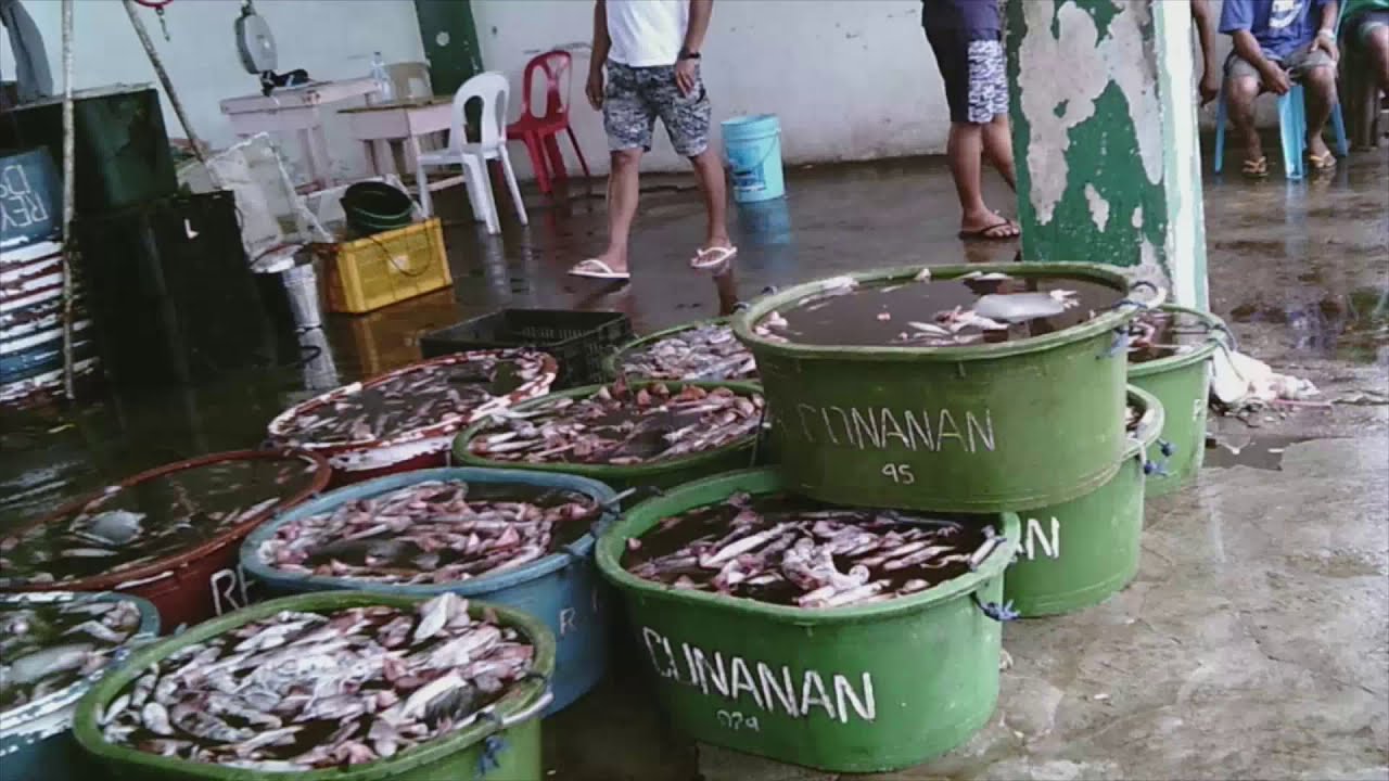 Subic Fish Port - YouTube