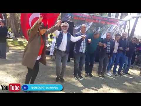 Şiranlılar halayda elettin kınalı