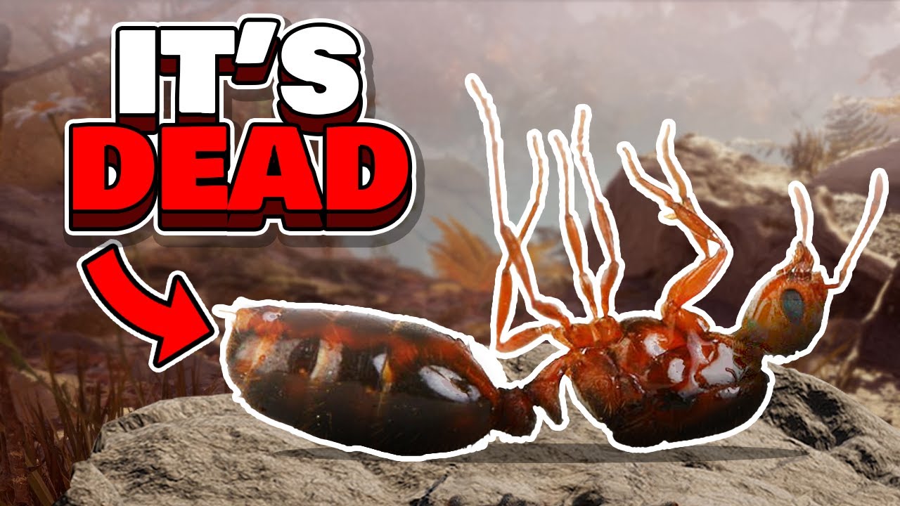 This Game Has Finally Died. - YouTube