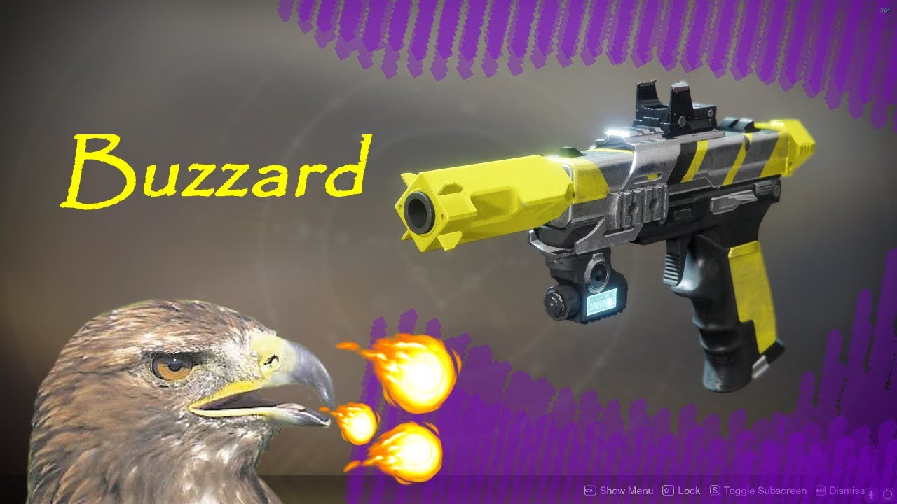 Destiny 2- Buzzard! So whats all the buzz? - YouTube