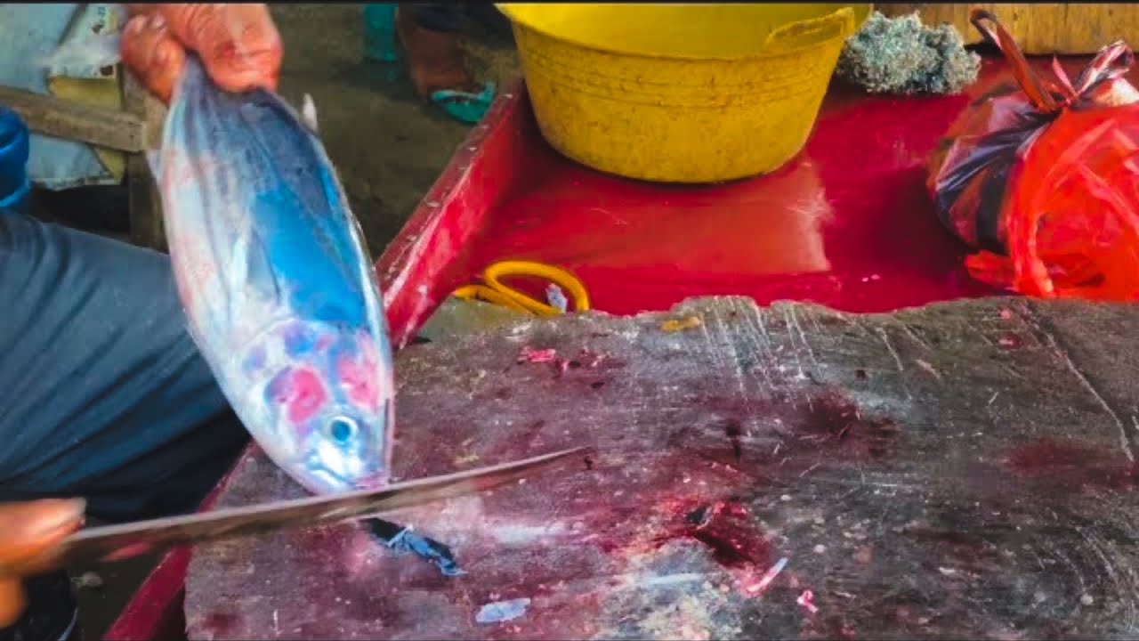 FISH CUTTING🔥FISH CUTTING SKILLS,FISH CUTTING VIDEOS - YouTube