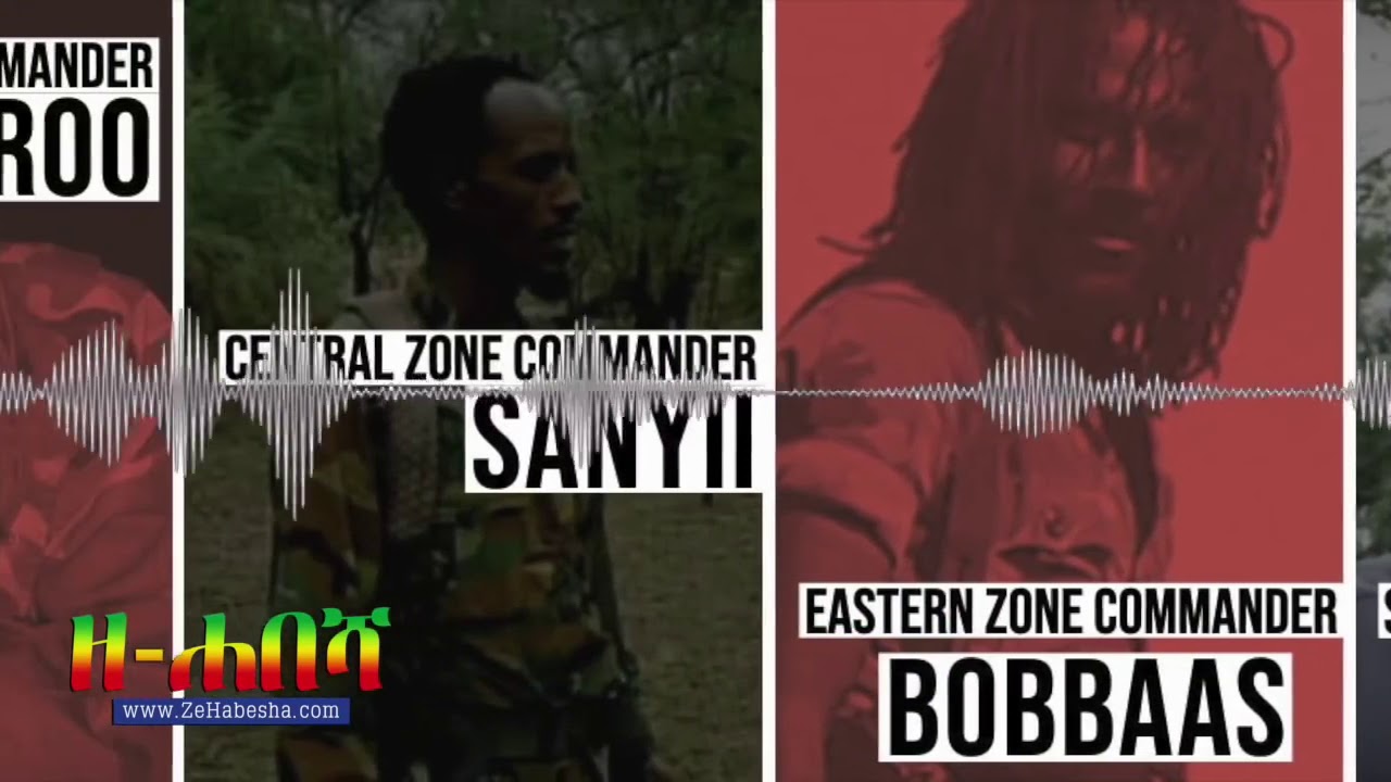 Today New Report Jaal Marroo | Qelem Welega Oromia ቄለም ወለጋ ምን እየሆነ ነው ...