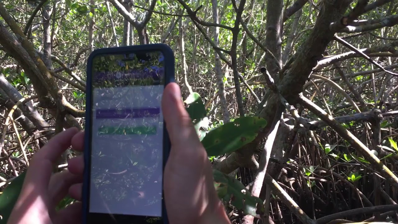 How To Collect Data on EpiCollect5 - YouTube