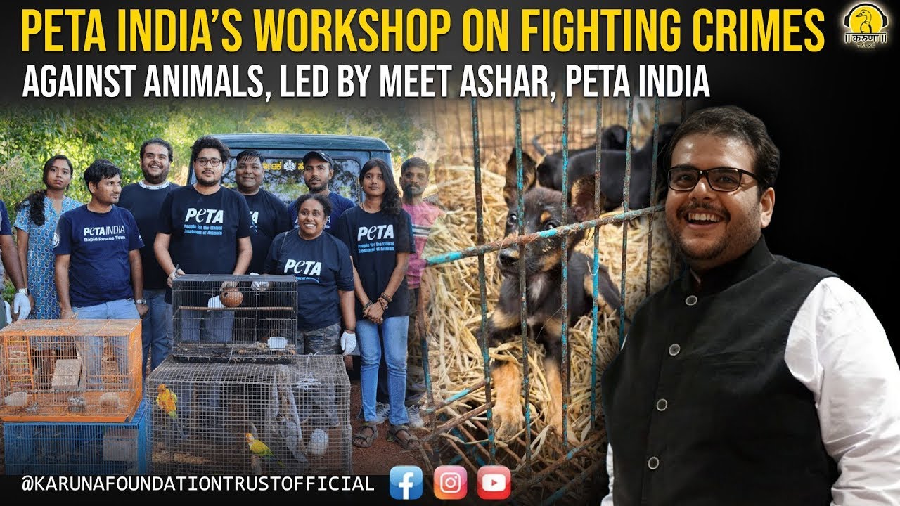 PETA India’s workshop on fighting crimes against animals, led by Meet ...