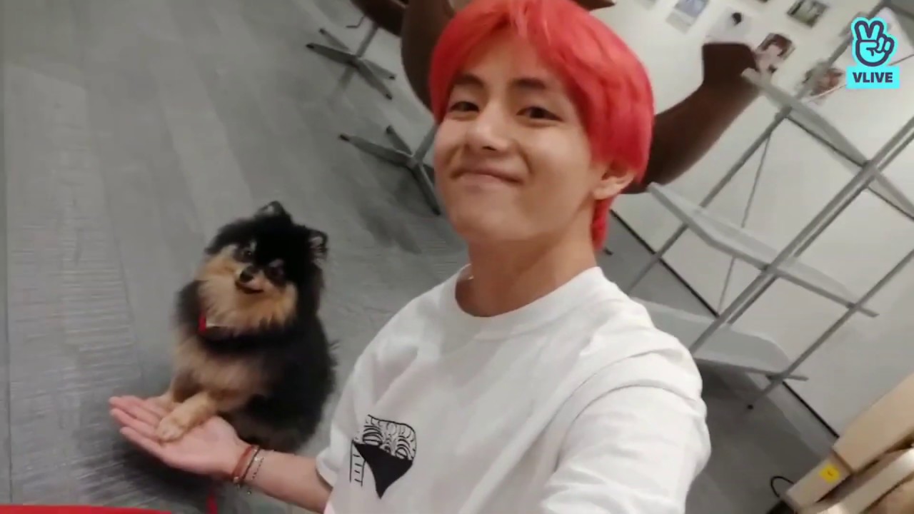 ТЭХЁН И ЁНТАН МИЛЫЕ МОМЕНТЫ | TAEHYUNG AND YONTAN CUTE MOMENTS | BTS ...