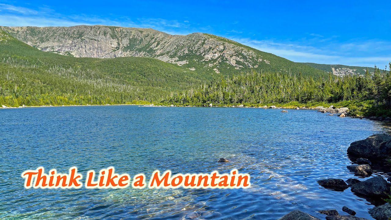 Thinking Like A Mountain by Aldo Leopold - YouTube