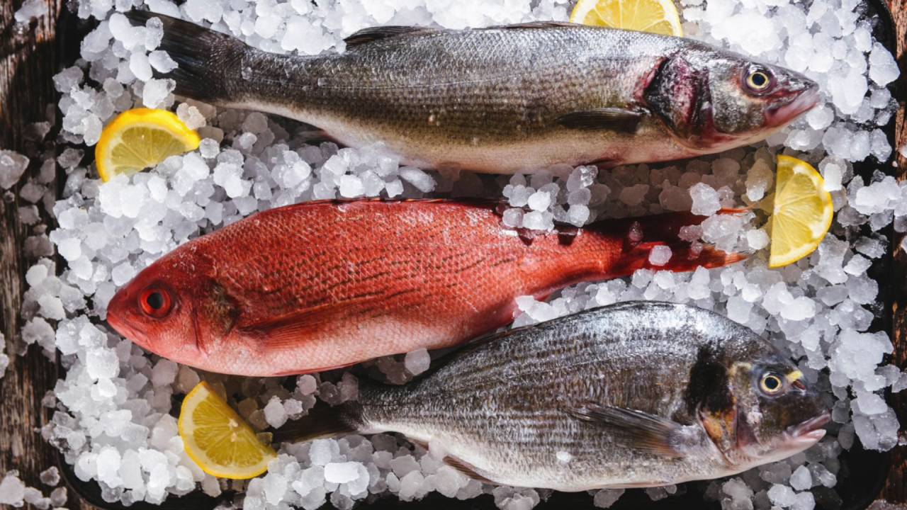 Il pesce come alimento - YouTube