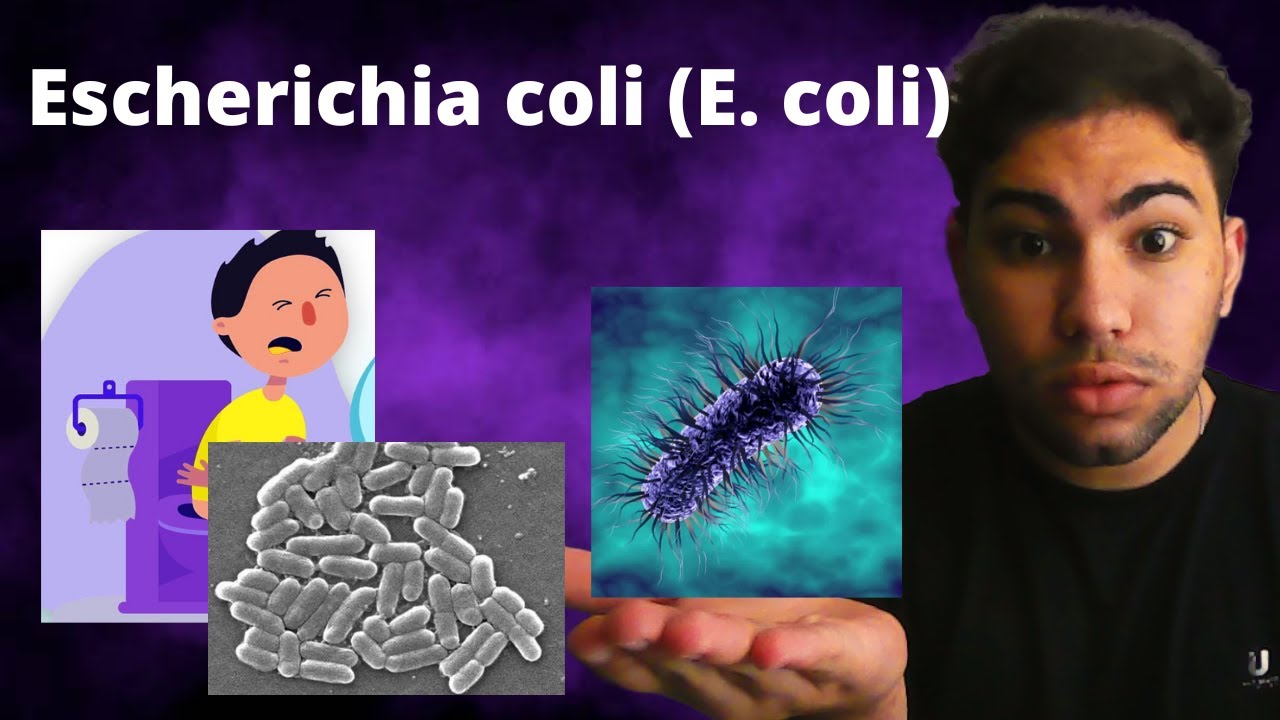 Escherichia Coli Tratamento Caseiro - RETOEDU