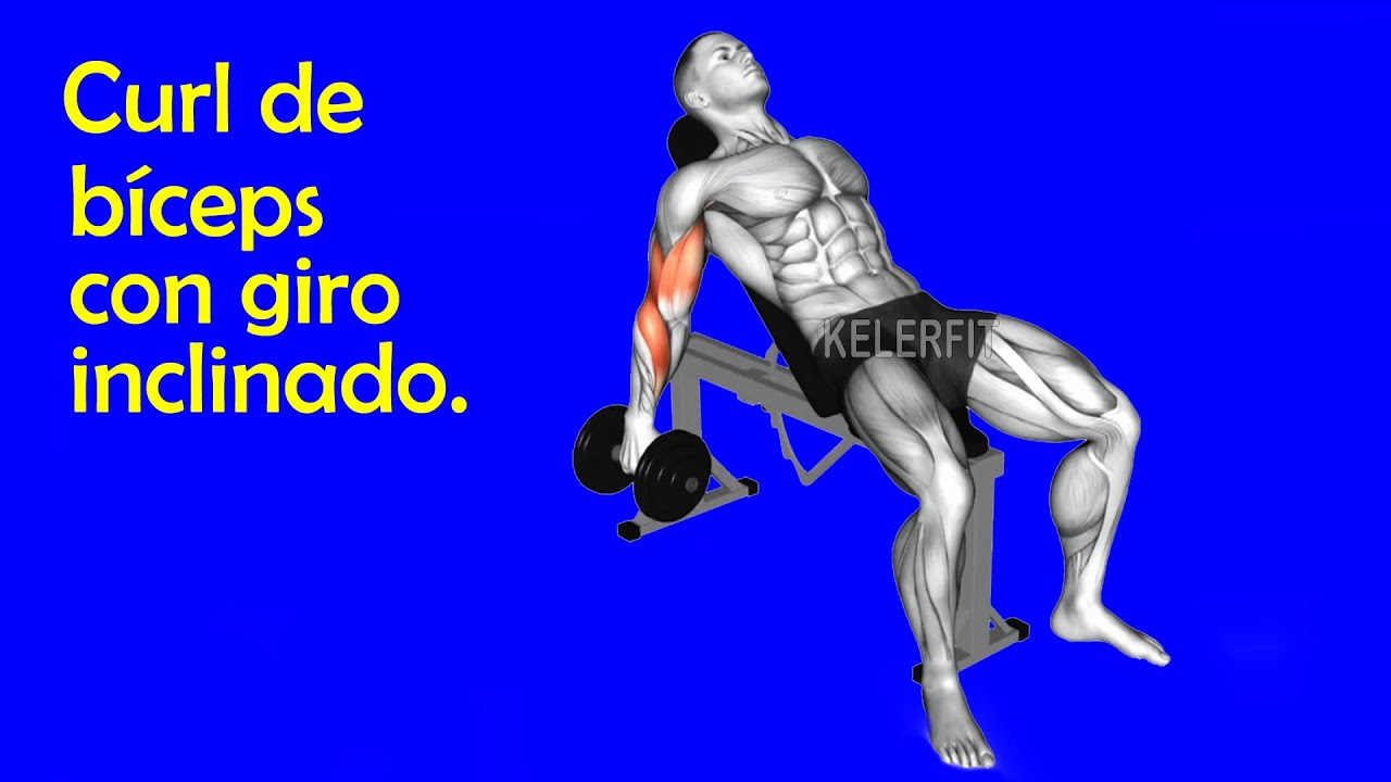 Como ejercitar el bíceps con la rutina curl de bíceps con giro ...
