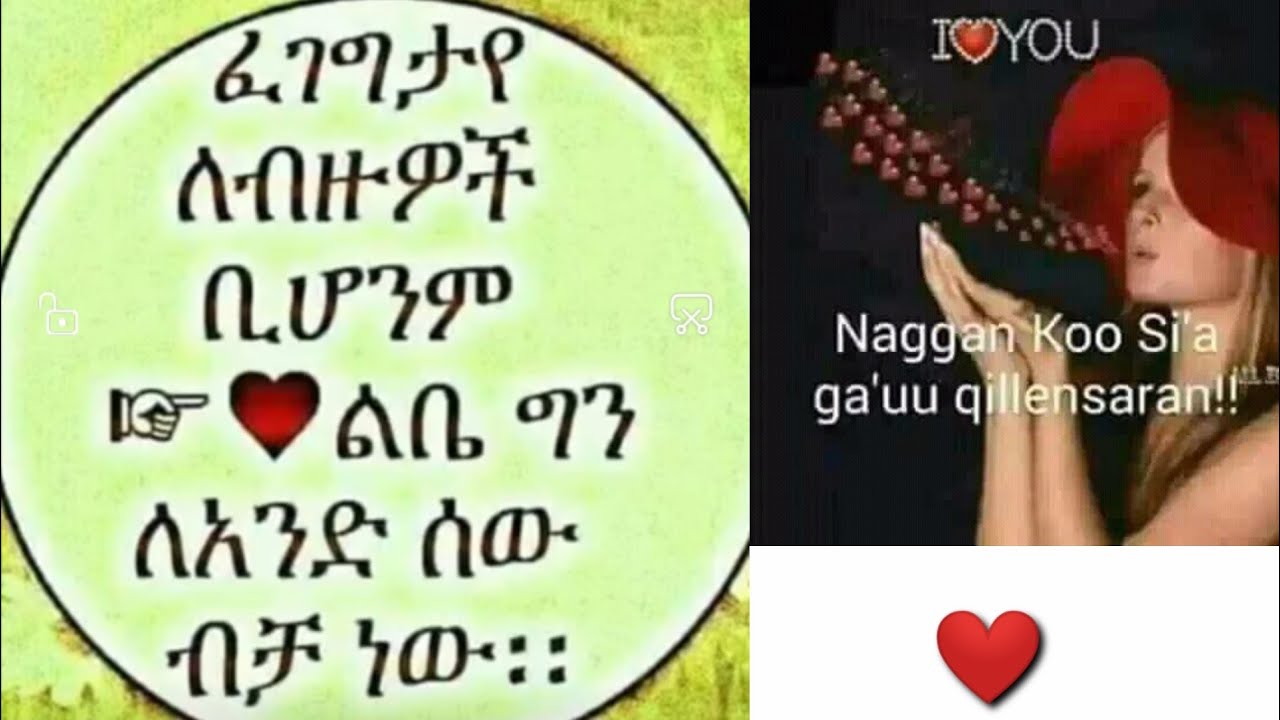 Sirbaa jaalala baay'ee bareda ta. E itti bashanaana - YouTube